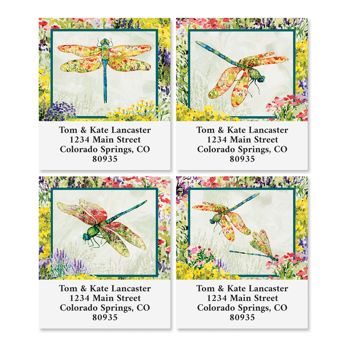 Garden Dragonflies Select Address Labels (4 Designs) | Current Catalog