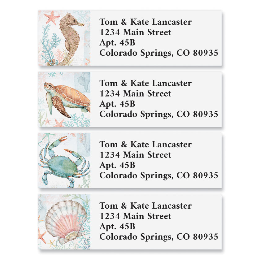 Coastal Spray Classic Address Labels (4 Designs) | Current Catalog
