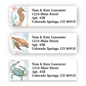 Address Label Designs, Plain to Pretty | Current Catalog