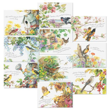 All Occasion Greeting Cards & Card Packs | Current Catalog
